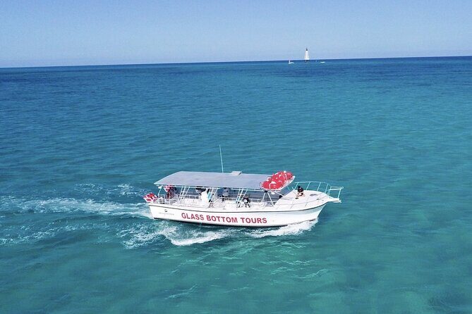Night Tour Glass Bottom Boat in Islamorada - An In-Depth Look at the Experience