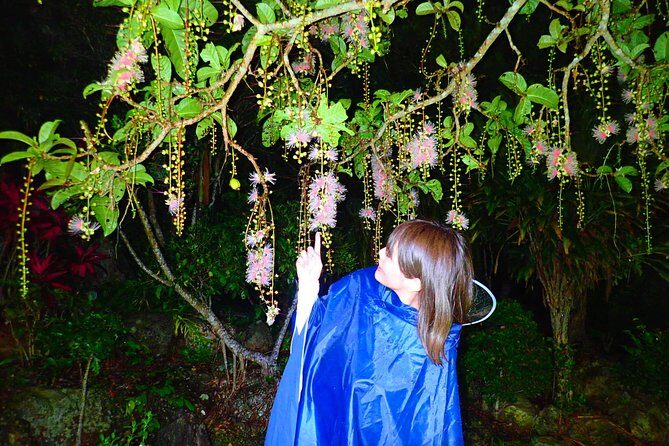Night Tour in Iriomote: Watch the One-Night Flower Sagari-bana - Final Thoughts