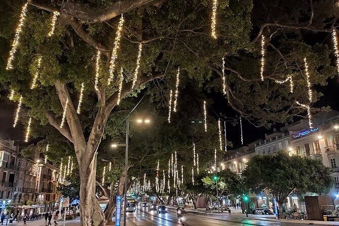 Night Tour in Malaga: Enjoy the Sunset and City Lights - A Closer Look at the Malaga Night Tour Experience