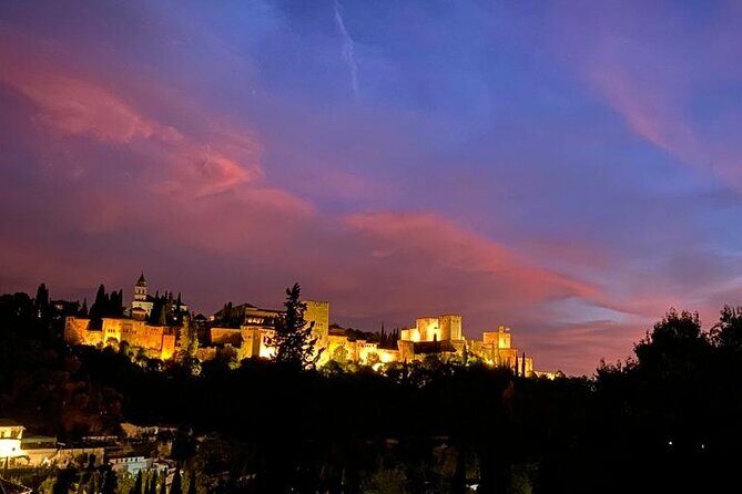 Night tour of the Alhambra and the Nasrid Palaces - The Experience: An In-Depth Look