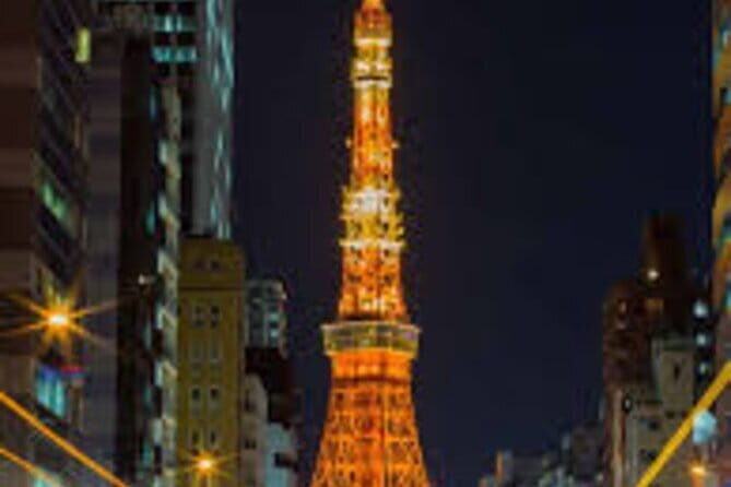Night Tour Tokyo in Shinjuku - A Practical Guide to the Night Tour Tokyo in Shinjuku