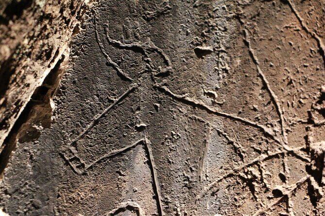 Night Visit to the Engravings of Foz Côa in 4x4 between DOURO and CÔA - Why This Tour Is Worth Your Time