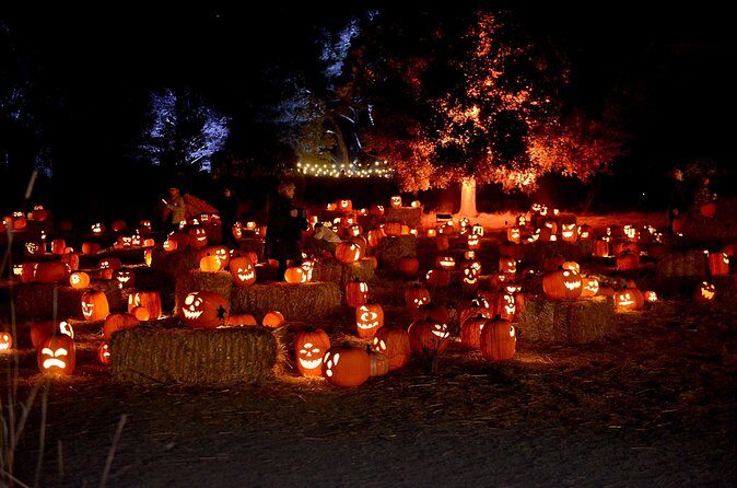 Nightfall - The Sum Up: Is Nightfall Worth It?