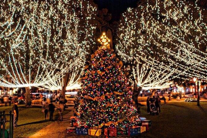 Nights of Lights Holiday Cruise Experience - Who Will Love This Tour?