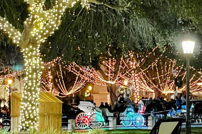Nights of Lights Private Electric Golfcart Tour up to 7 People - Transportation and Practicalities