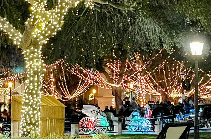 Nights of Lights Private Electric Golfcart Tour up to 7 People - The Ideal Audience
