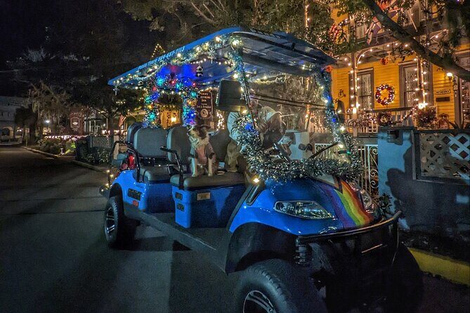 Nights of Lights Private Golf Cart Tour for up to 5 people! - Who Should Consider This Tour?