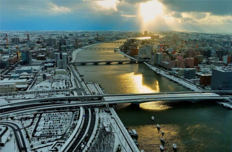 Niigata Full-Day Private Tour with Government-Licensed Guide - How Does It Compare to Similar Tours?