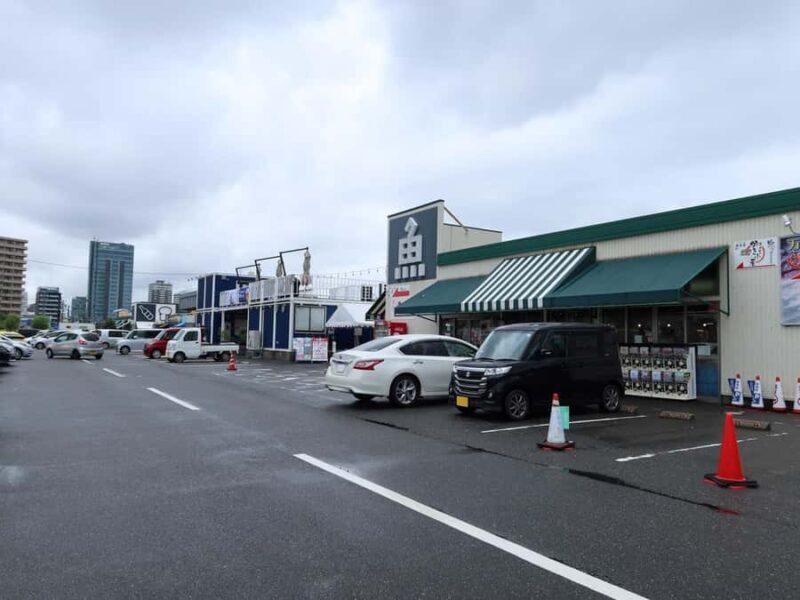 Niigata: Japanese Seafood Culture & Local Market Walk - The Guide’s Role and Authenticity