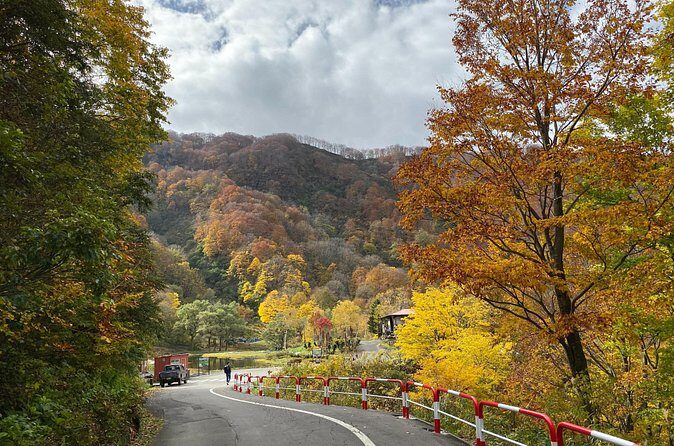 Niigata Private Customizable Full Day Tour - Who Will Love This Tour?