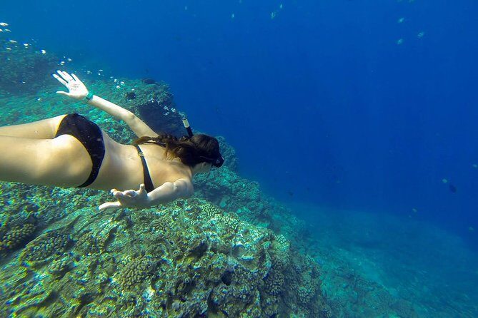 Ni'ihau and Na Pali Coast Snorkel Boat Tour - Frequently Asked Questions