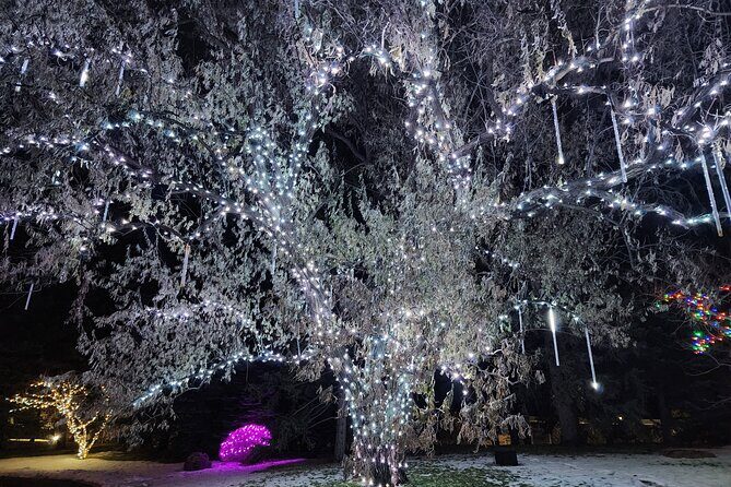 Nikka Yuko Japanese Garden Winter Light Festival - An In-Depth Look at the Experience