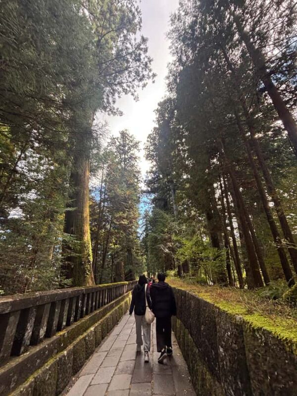 Nikko: a guided tour of the UNESCO World Heritage shrine, nestled in the forest - An In-Depth Look at the Tour