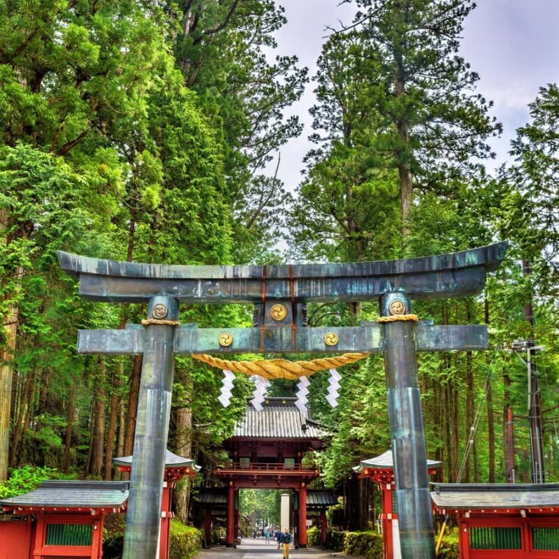 Nikko: Birdwatching Tour with Shrine and Temple Visit - Key Points