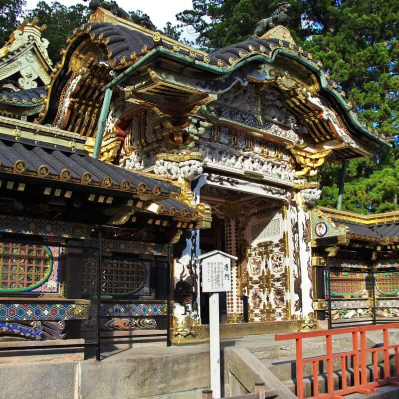 Nikko: Birdwatching Tour with Shrine and Temple Visit - What To Expect at Each Stop