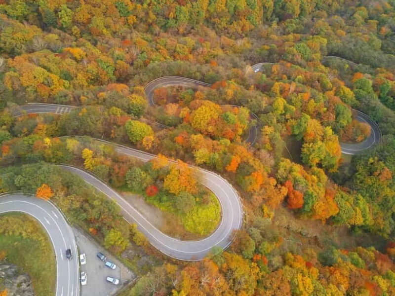 Nikko City Day Trip By Private Car or Van - Key Points