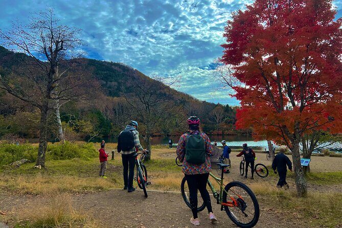 Nikko Cycling Tour with Local Guide - Key Points