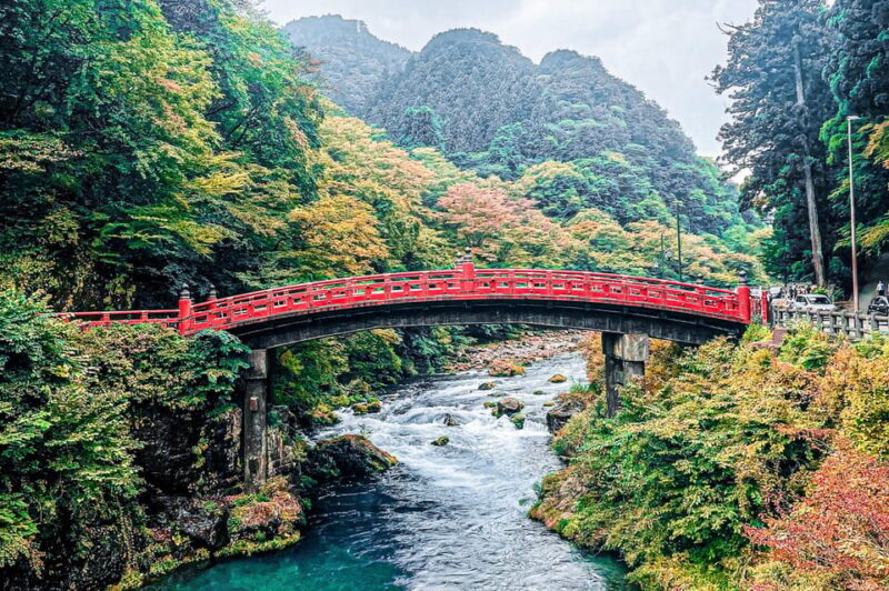 Nikko: Day Tour from Tokyo in Spanish - Spanish - An In-Depth Look at the Nikko Day Tour Experience