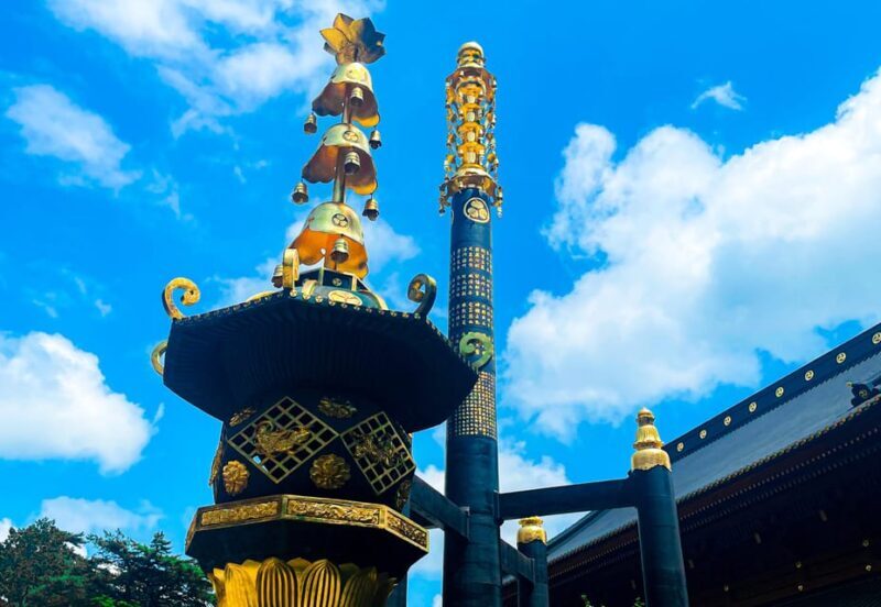 Nikko: Day Tour from Tokyo in Spanish - Spanish - Who Will Enjoy This Tour?