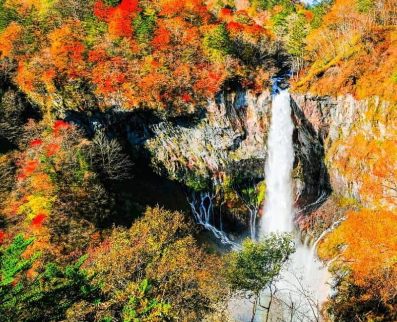 Nikko Day Tour from Tokyo with English Speaking Driver - The Ease of Private Transportation