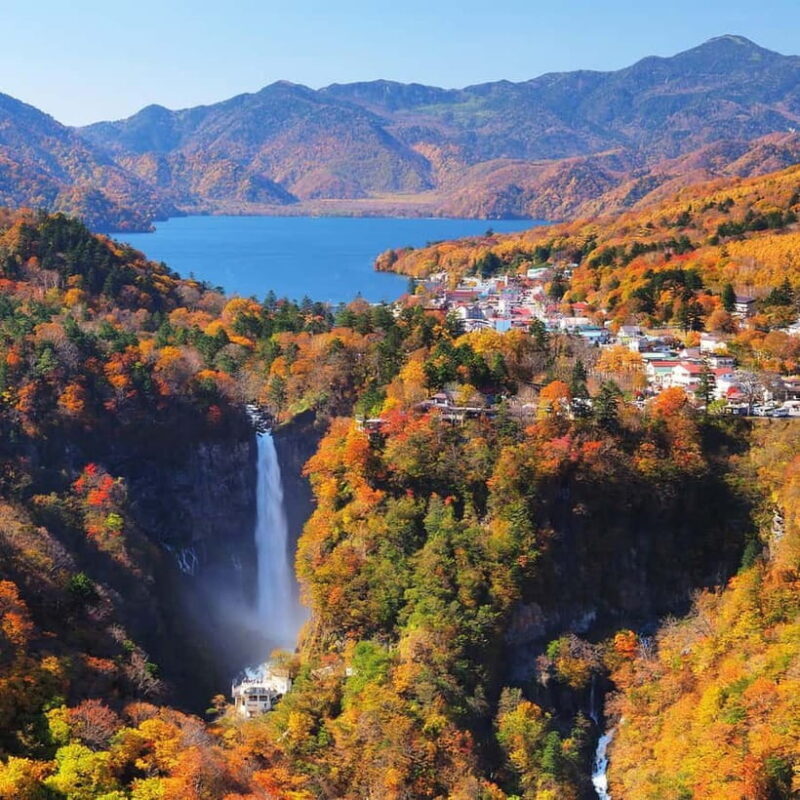 Nikko Day Tour from Tokyo with English Speaking Driver - The Customized Itinerary