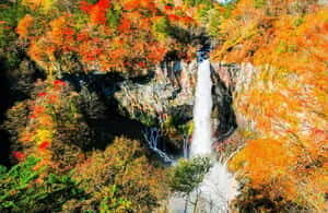 Nikko Day Tour from Tokyo with English Speaking Driver - What’s Not Included