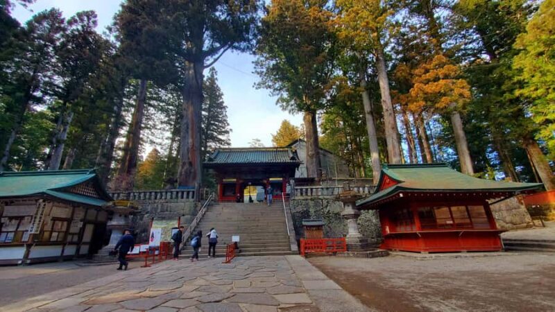 Nikko Full-Day Private Tour from Tokyo (Customizable) - Key Points
