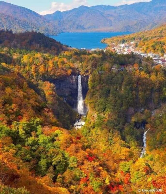 Nikko Full-Day Tour from Tokyo UNESCO Shrine & Kegon Falls - FAQ