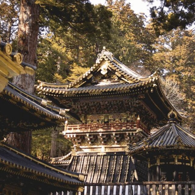 Nikko Heritage & Nature Day Trip from Tokyo - Optional Stops: Kanmangafuchi Abyss and More