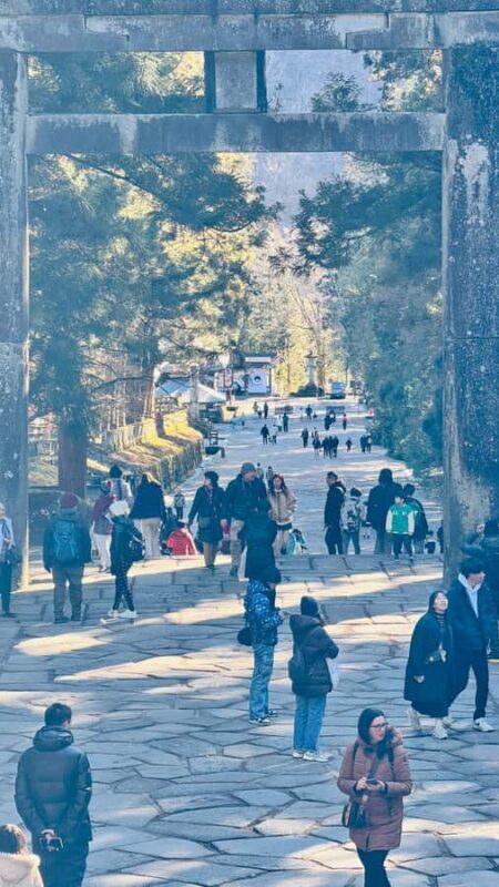 Nikko Heritage & Private Sightseeing Trip From Tokyo - The Experience and Its Value