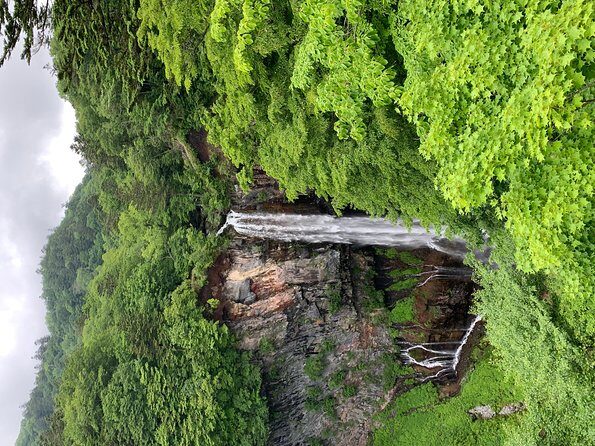 Nikko one day trip GREEN NUMBER PLATES - A Deep Dive into the Experience