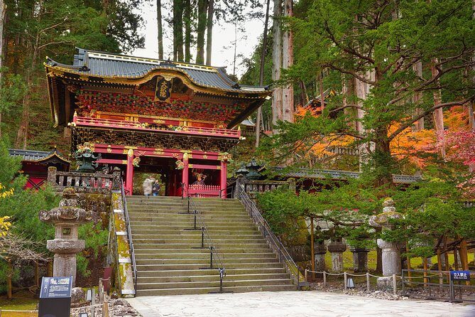 Nikko Private Car Tour English Driver, Flexible Schedule - The Details of the Nikko Private Car Tour