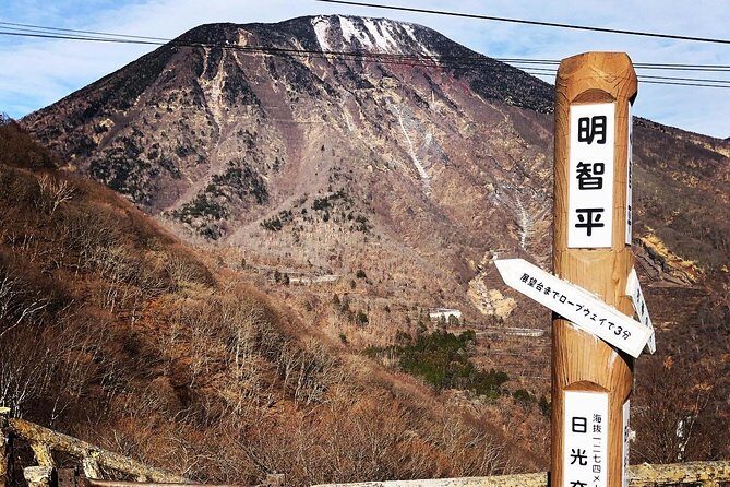 Nikko Private Car Tour English Driver, Flexible Schedule - Who Should Book This Tour?