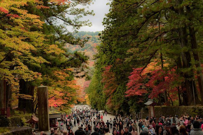 Nikko Private Customizable Half Day Tour - The Sum Up