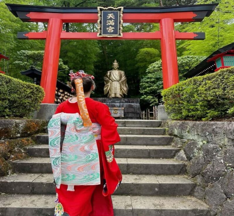 Nikko: Private Customizable Tour with Driver - Key Points