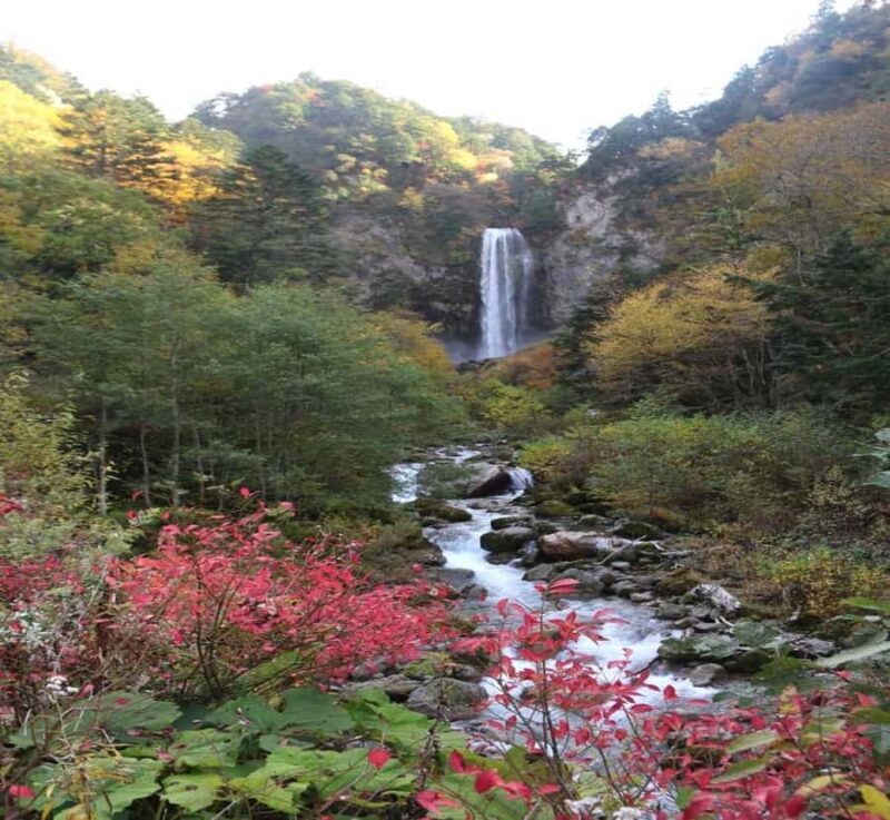 Nikko: Private Customizable Tour with Driver - An in-depth look at what this tour offers