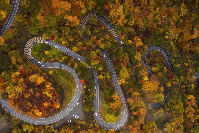 Nikko Private Customized Day Tour - Who Should Consider This Tour?