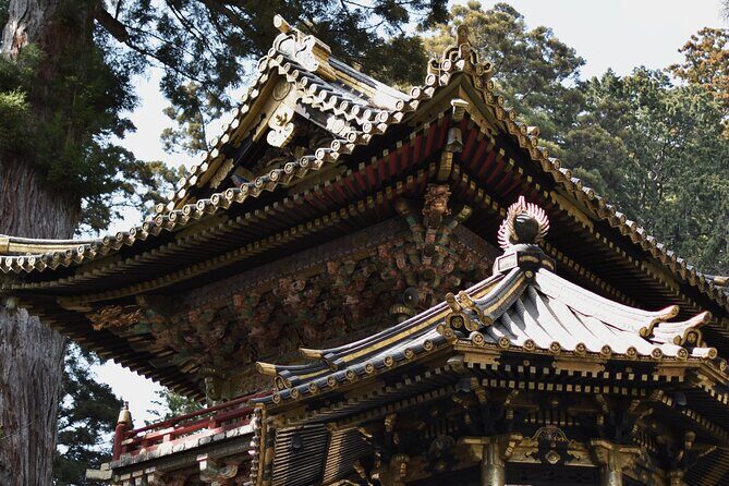 Nikko Private Day Tour By Car with Pick-up - Who Would Love This Tour?