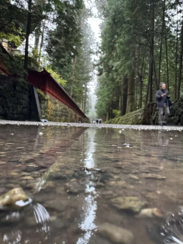 Nikko Private Day Tour  Temples, Nature & Hidden Gems - The Sum Up