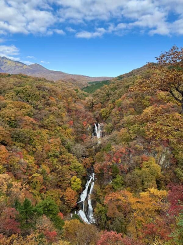 Nikko Private Day Tour  Temples, Nature & Hidden Gems - FAQ