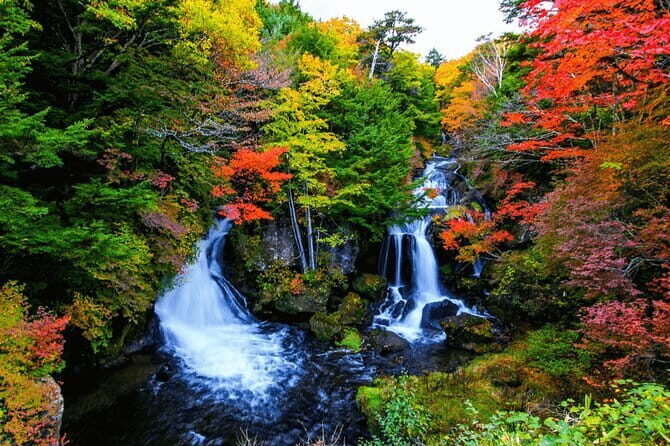 Nikko Private Day Trip with English Speaking Driver From Tokyo - The Itinerary in Detail: What You’ll Experience