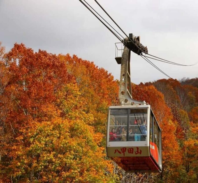 Nikko: Private Hakone Nature & Culture Day Trip - What Travelers Say About This Tour