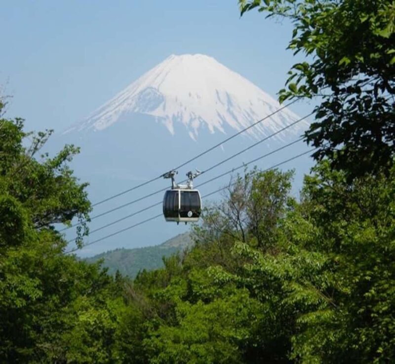 Nikko: Private Hakone Nature & Culture Day Trip - Who Will Enjoy This Tour?