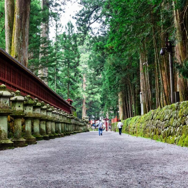 Nikko: Private Short Day Tour With English-Speaking Guide - Key Points