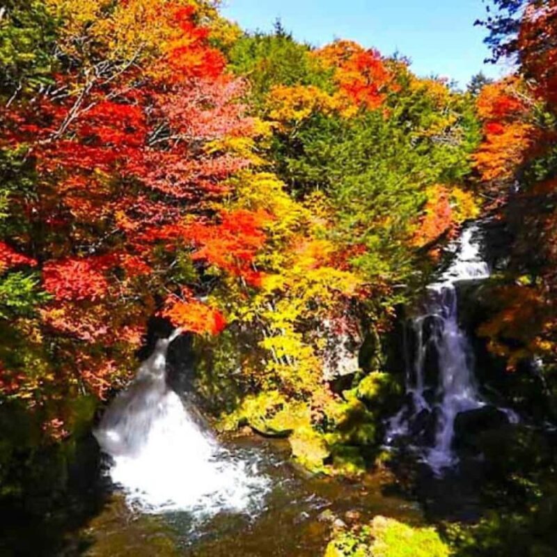 Nikko: Private Short Day Tour With English-Speaking Guide - Why Choose This Nikko Tour?