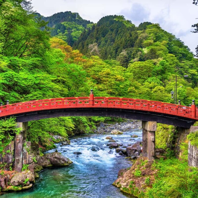 Nikko: Private Short Day Tour With English-Speaking Guide - The Practicalities