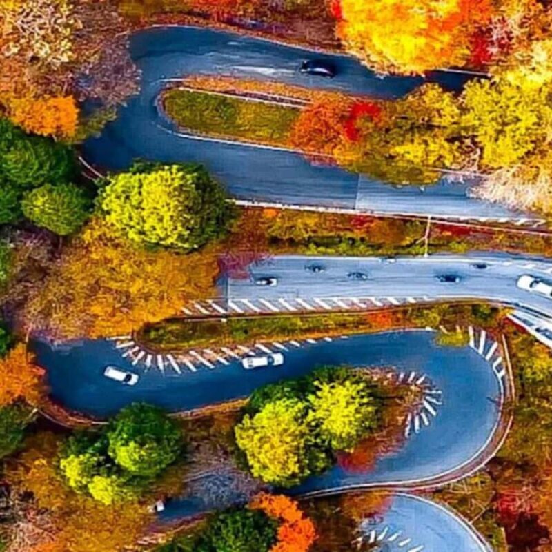 Nikko: Private Short Day Tour With English-Speaking Guide - Who Would Enjoy This Tour?