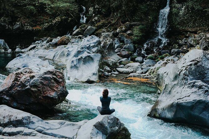 Nikko Private SightSeeing Day Tour (From Tokyo) - Introducing the Nikko Private Day Tour