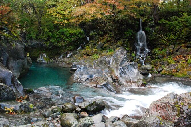 Nikko Private SightSeeing Day Tour (From Tokyo) - Who Will Love This Tour?