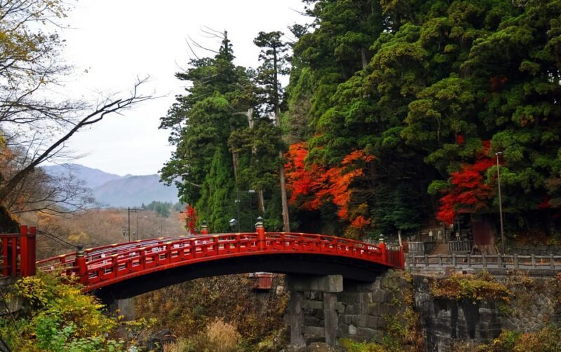 Nikko: Private Sightseeing Day Tour with Driver & Transport - The Sum Up: Who Will Love This Tour?